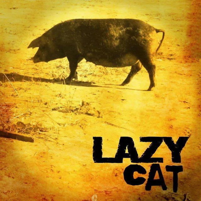 BPM and key for songs by Lazy Cat | Tempo for Lazy Cat songs | SongBPM ...