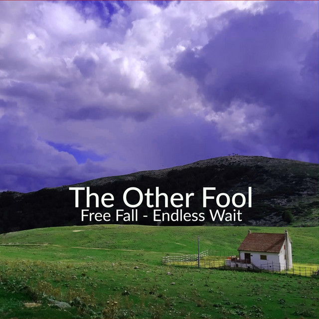 Free Fall / Endless Wait - Single by The Other Fool | Spotify