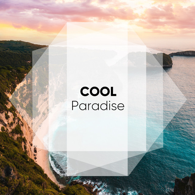 # 1 Album: Cool Paradise - Compilation by Various Artists | Spotify