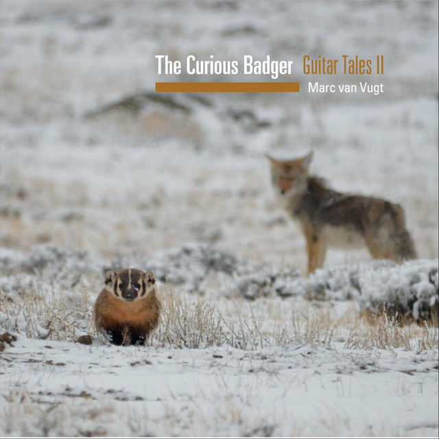 The Curious Badger - Album by Marc van Vugt | Spotify