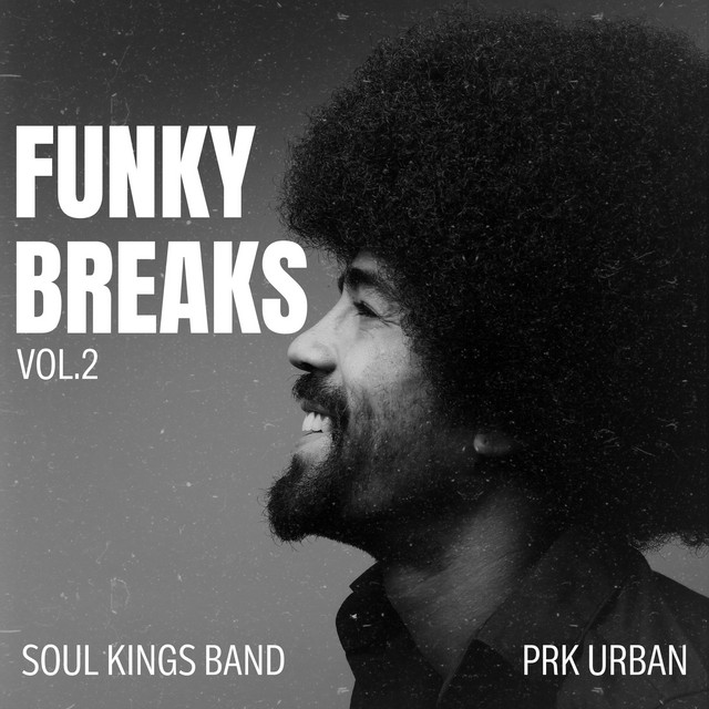 Funky Breaks, Vol. 2 - Album by BBOY MUSIC | Spotify