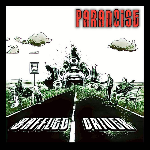 BAFFLED DRIVER - Album by ParanoisE | Spotify