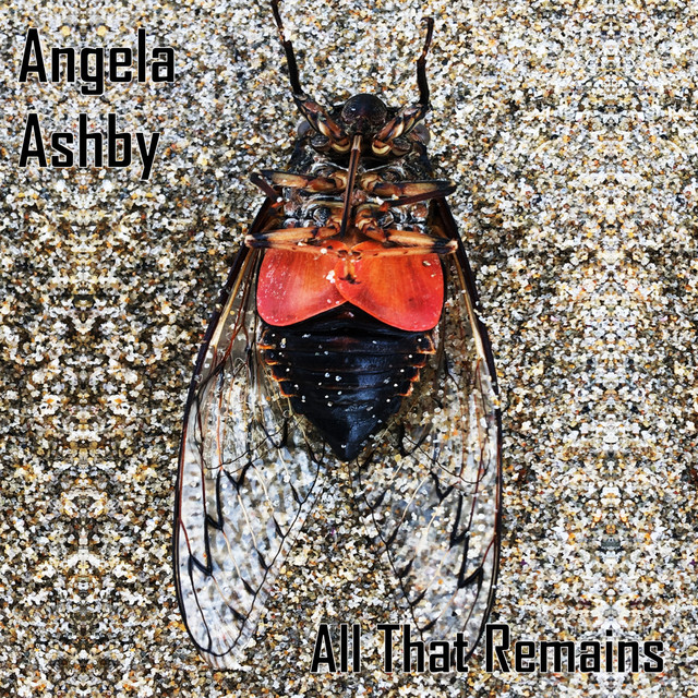Angela Ashby Concert & Tour History | Concert Archives