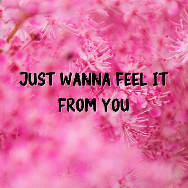 Just Wanna Feel It From You - Single by JW Velly | Spotify