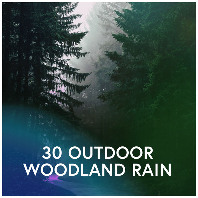 30 Outdoor Woodland Rain - Album by Naturalis | Spotify
