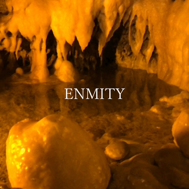 ENMITY - Single by I.S.E. | Spotify