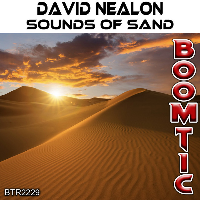 Sounds Of Sand - Dance Remix - song and lyrics by David Nealon | Spotify