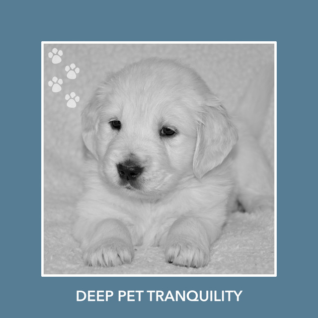 Deep Pet Tranquility - Album by Relaxing Dog Music | Spotify