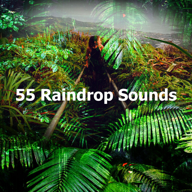 Forest Action - song and lyrics by Calming Rainforest Sounds | Spotify