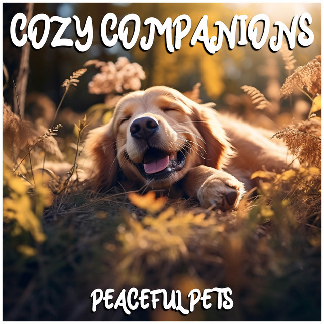 Cozy Companions - Album by Peaceful Pets | Spotify