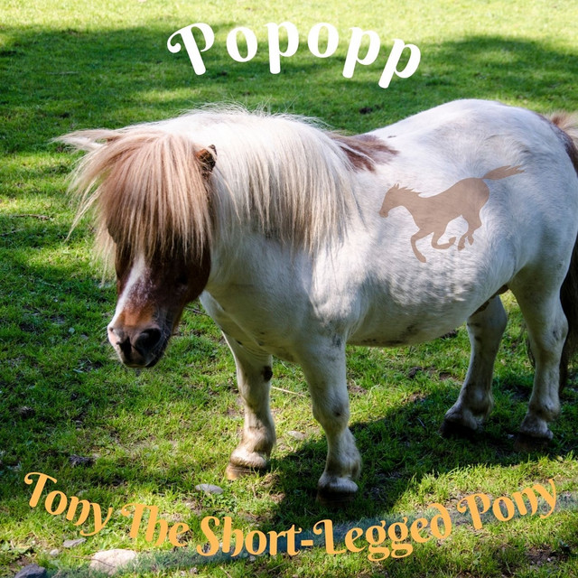 Tony The Short-Legged Pony - Single by Popopp | Spotify