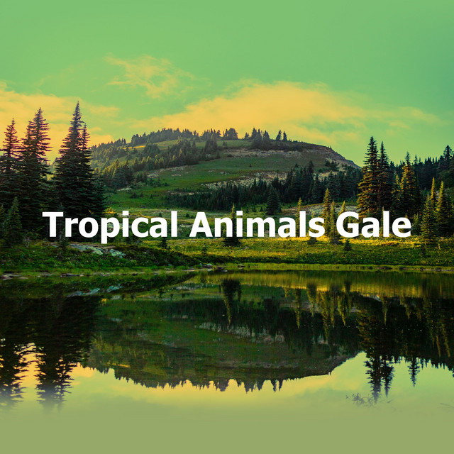 Tropical Animals Gale - Album by Echoes Of Nature | Spotify