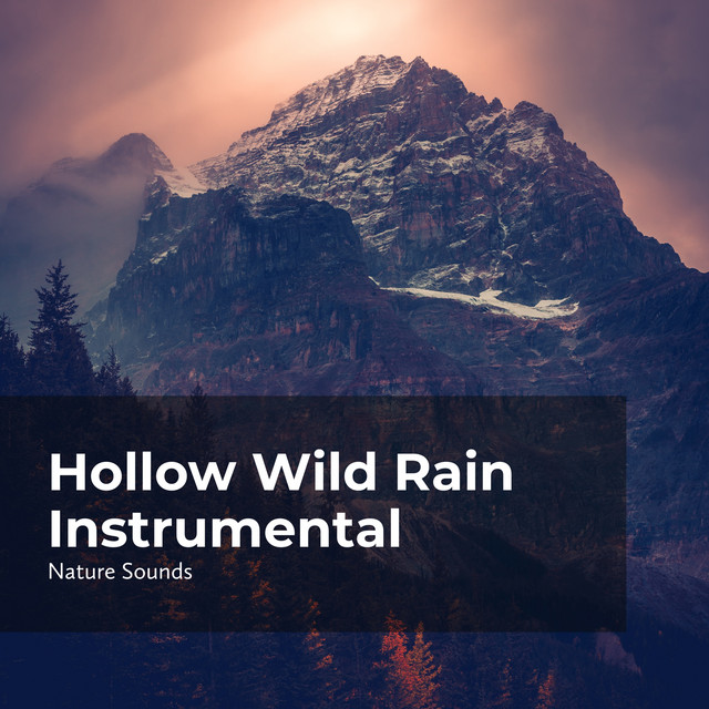 Hollow Wild Rain Instrumental - Album by Nature Sounds | Spotify