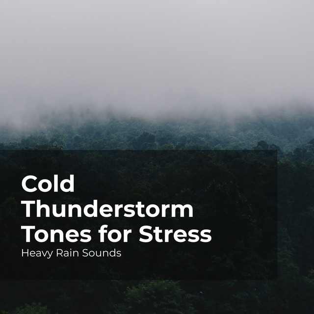 Cold Thunderstorm Tones for Stress - Album by Heavy Rain Sounds | Spotify