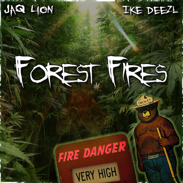 Forest Fires - song and lyrics by Jaq Lion, Ike Deezl | Spotify
