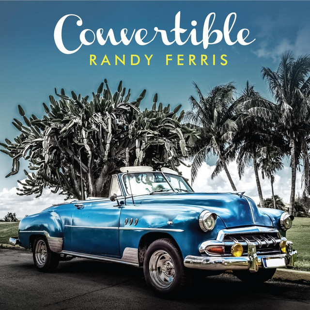 Convertible - Album by Randy Ferris | Spotify