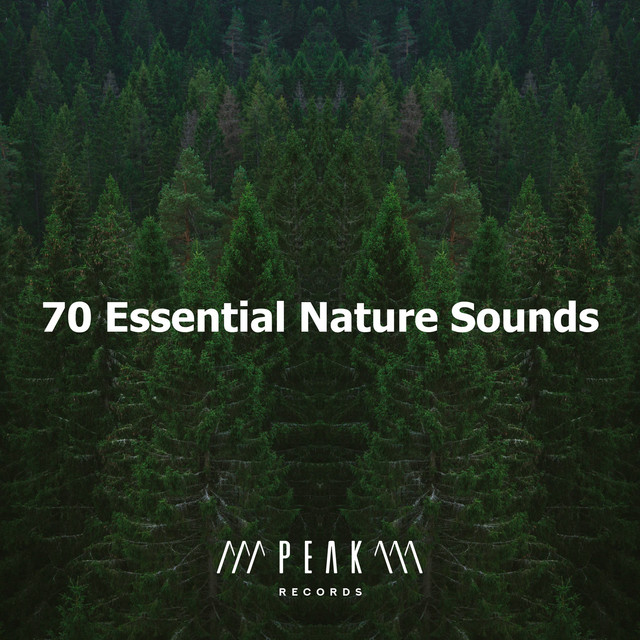 70 Essential Nature Sounds - Album by Nature Sounds | Spotify