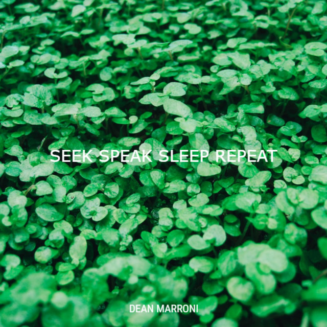 Seek Speak Sleep Repeat - Album by Dean Marroni | Spotify