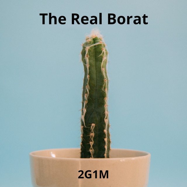 The Real Borat - Album by 2G1M | Spotify