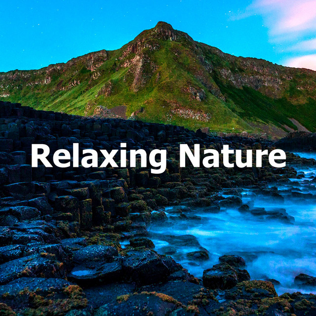 Relaxing Nature - Album by Relaxing Nature Ambience | Spotify