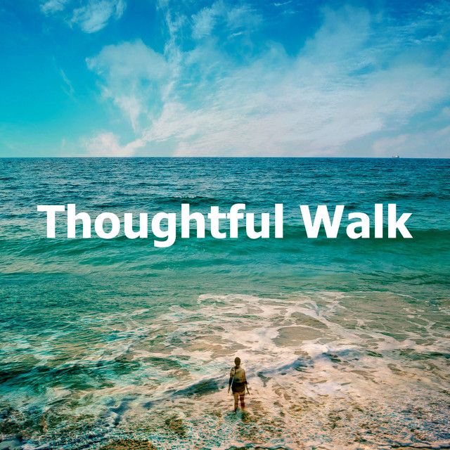 Thoughtful Walk - Album by Chillout Music Ensemble | Spotify