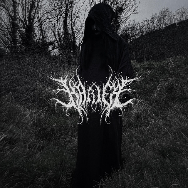 Harifa | Spotify
