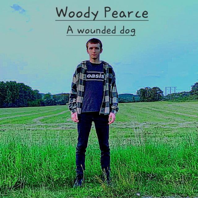 A Wounded Dog - Album by Woody Pearce | Spotify