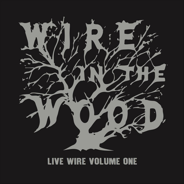 Live Wire, Vol. 1 - Album by Wire in the Wood | Spotify
