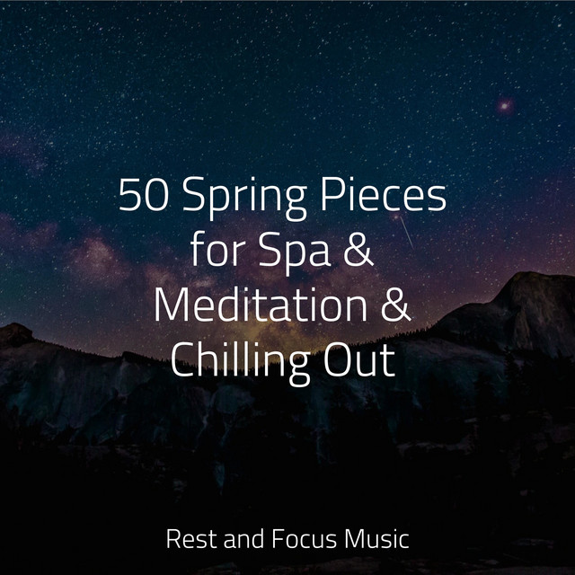 Summer Zen - song and lyrics by Music to Relax in Free Time, Massage ...