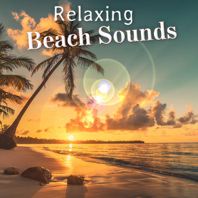 Rippling Waves with Seagulls in the Background - song and lyrics by ...