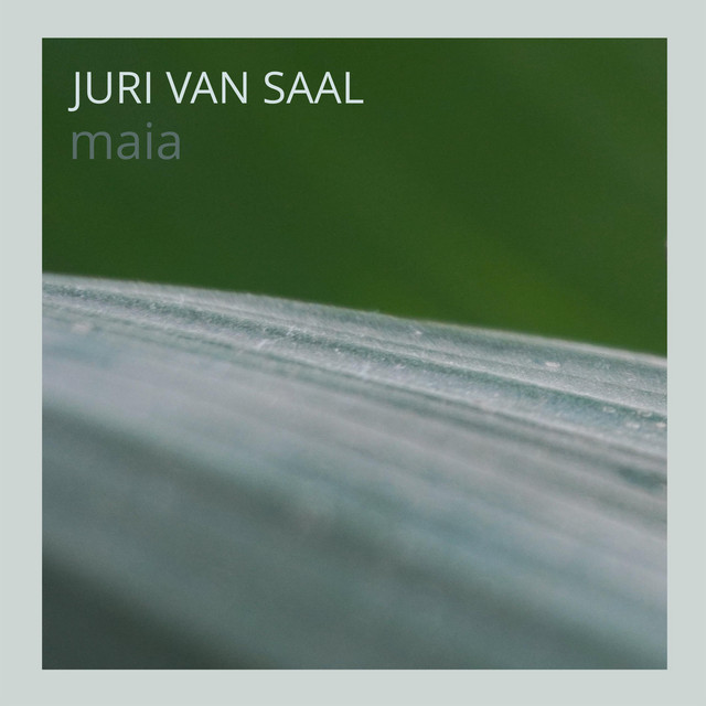 maia - Single by Juri van Saal | Spotify
