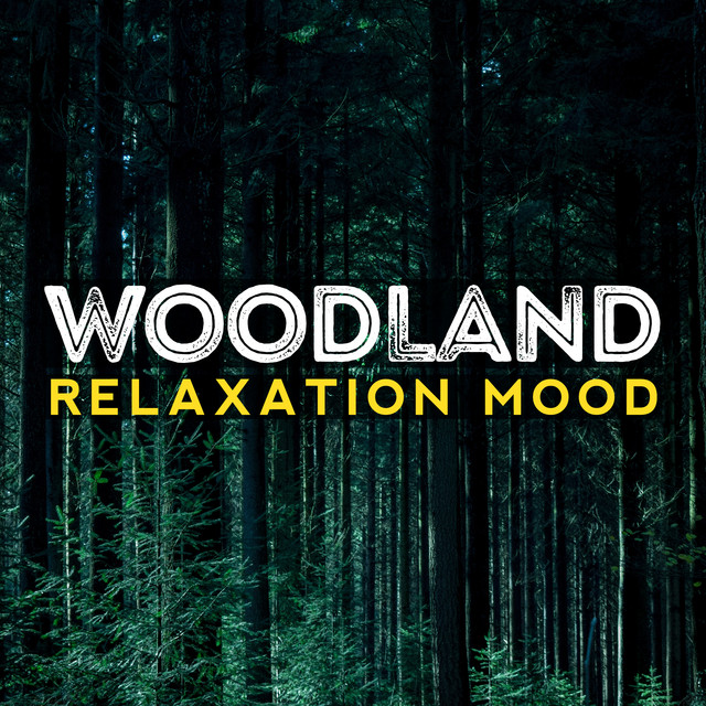 Woodland Relaxation Mood - Album by Musica Relajante | Spotify