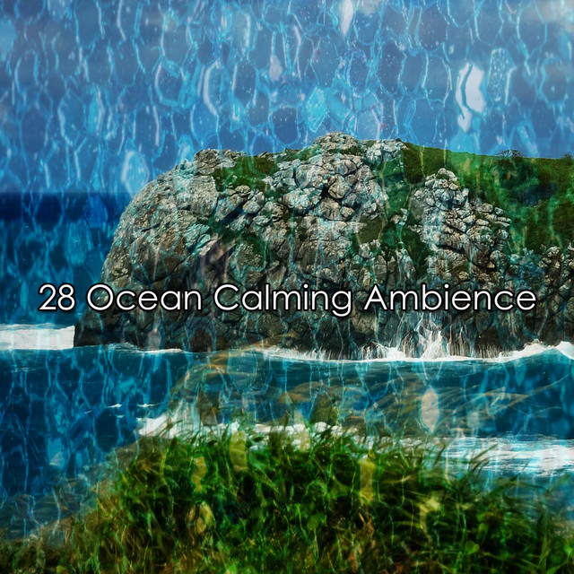 28 Ocean Calming Ambience - Album by Ocean Sounds | Spotify