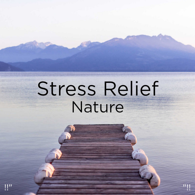 Stress Relief Nature "!! - Album by Yoga | Spotify
