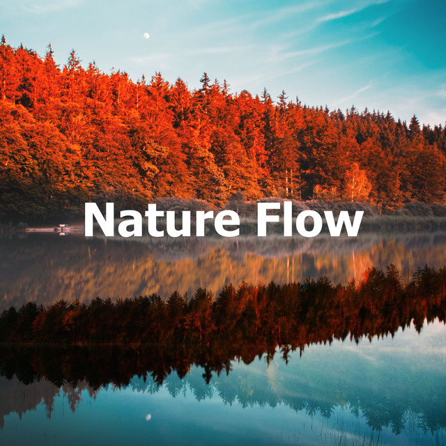 Nature Flow - Album by Forest Sounds | Spotify