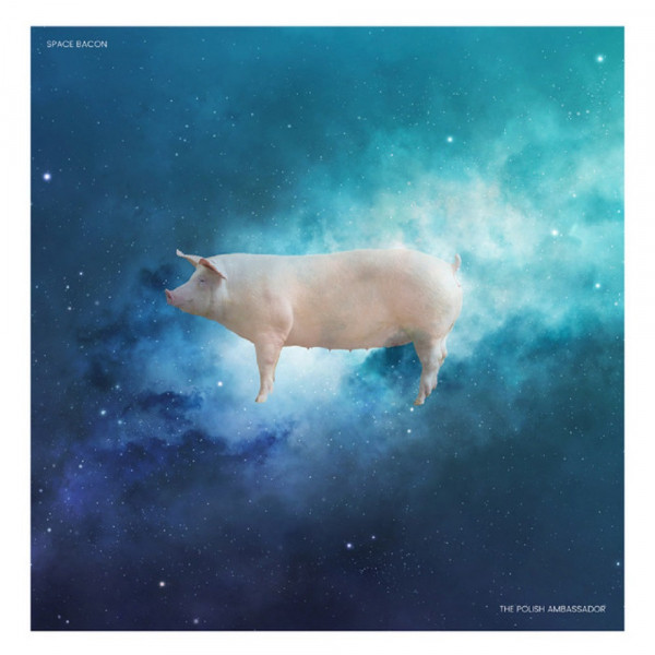 Space Bacon - Single by The Polish Ambassador | Spotify
