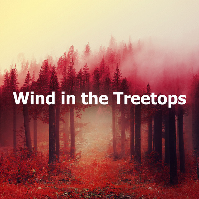 Wind in the Treetops - Album by Natural Forest Sounds | Spotify