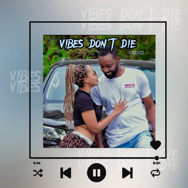 Vibes Don't Die - song and lyrics by The Real Mr Dube | Spotify