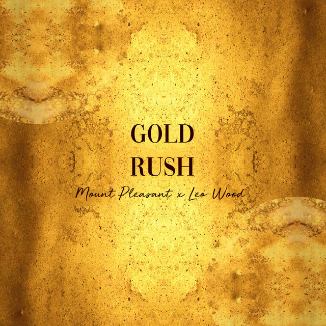 Gold Rush - Single by Leo Wood | Spotify