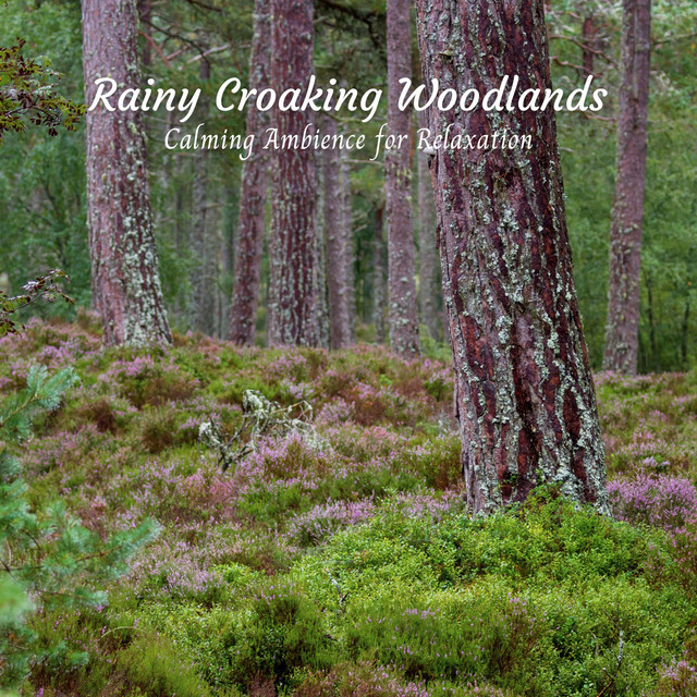 Rainy Croaking Woodlands: Calming Ambience for Relaxation - Album by ...