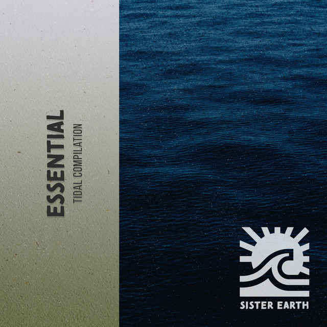 Essential Tidal Compilation - Album by Ocean Sleep Sounds | Spotify