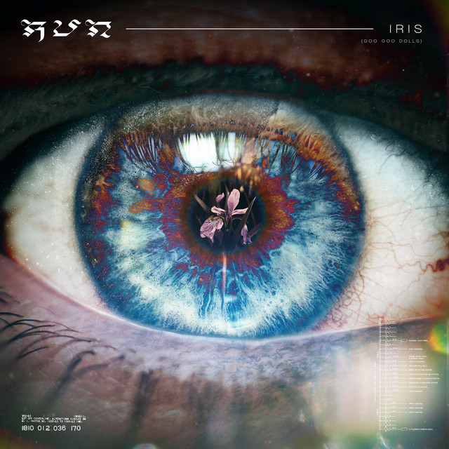 Iris - Single by RUN | Spotify