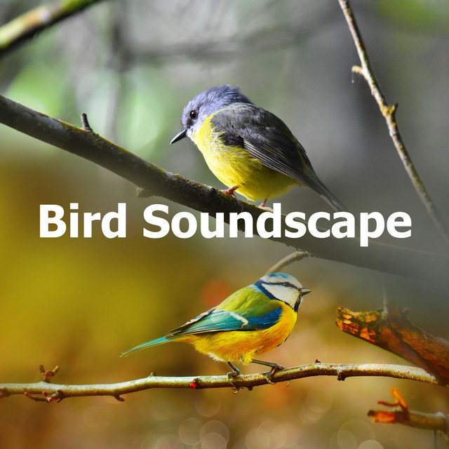 Bird Soundscape - Album by Singing Birds | Spotify