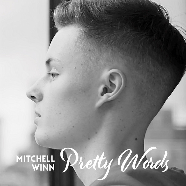 Pretty Words - Single by Mitchell Winn | Spotify