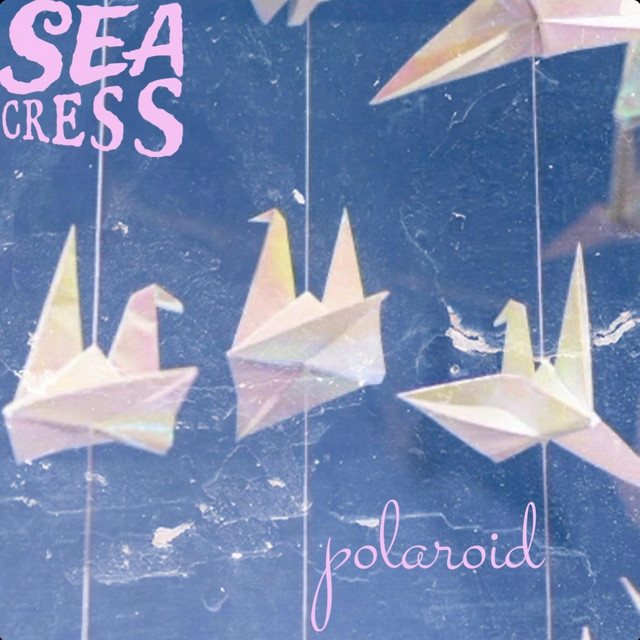 polaroid - Single by Sea Cress | Spotify