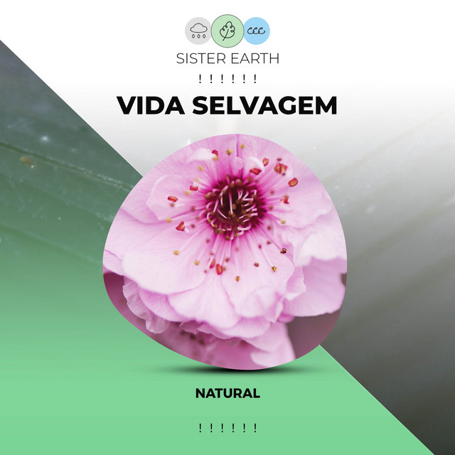 Vida Selvagem Natural ! ! ! ! ! ! - Album by Sons da Natureza | Spotify
