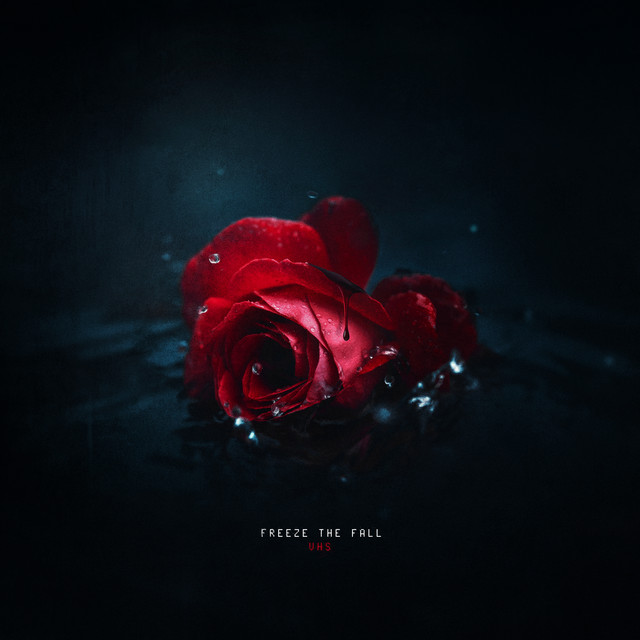 VHS - Single by Freeze the Fall | Spotify