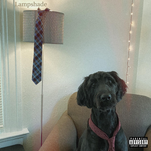 Lampshade - Single by Running for President | Spotify