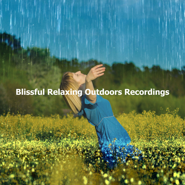 Lightning Sprinter - song by Outdoor Field Recorders | Spotify