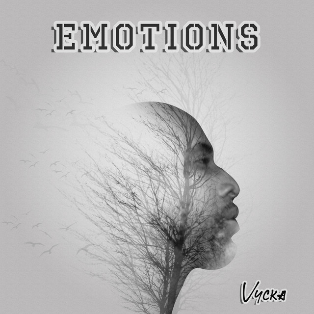 Emotions - Single by Vycka | Spotify